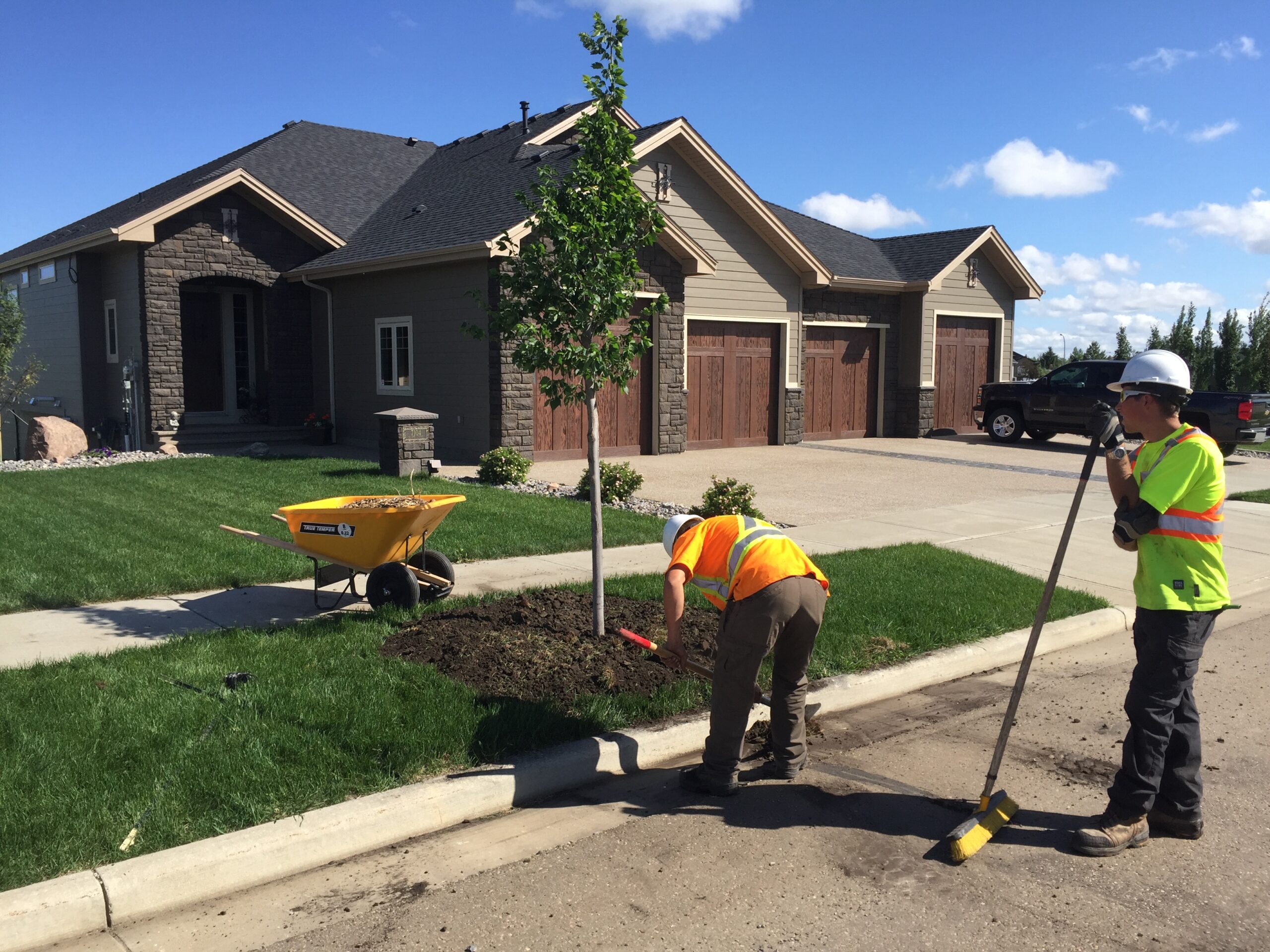 Landscape Construction | Down to Earth Landscapes